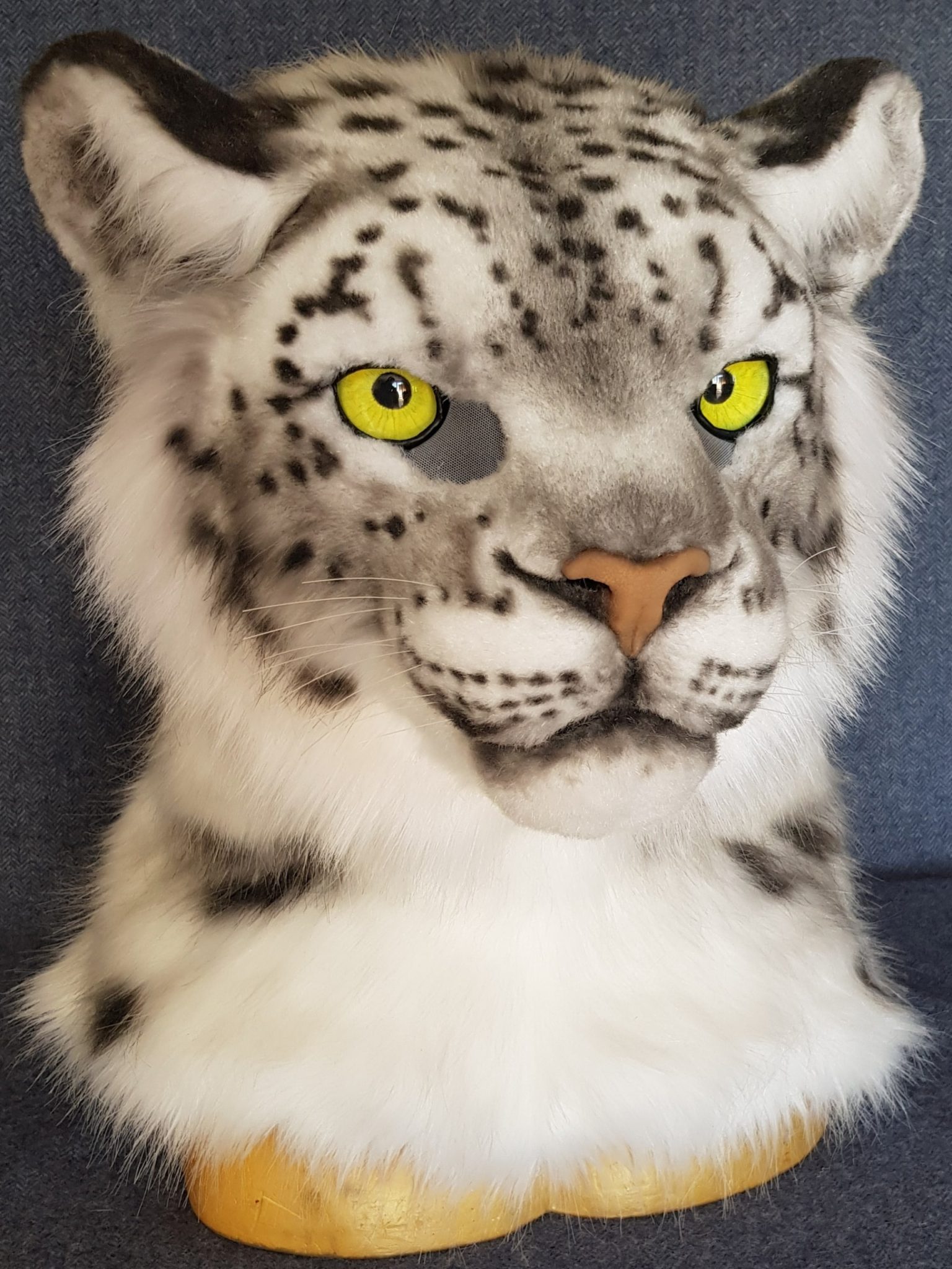 CRINSY – Custom Fursuits and Fursuit Parts